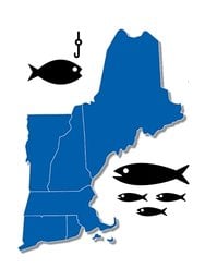 Fish New England Fishing Guide Service in New England